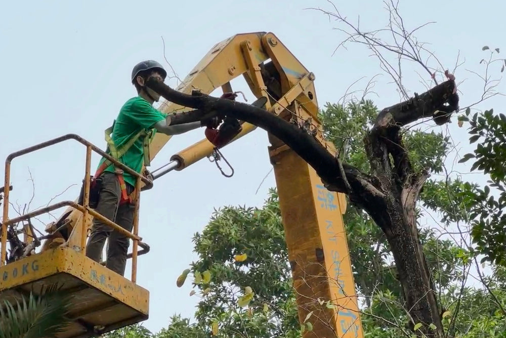 Gardening Services – Jungle Corner