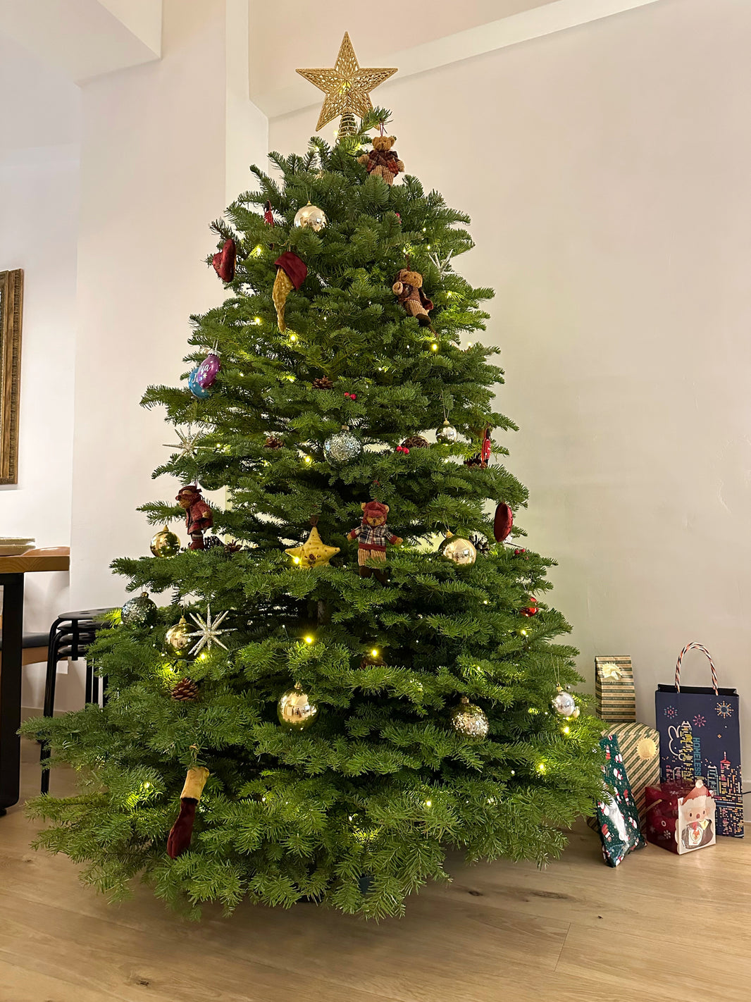 Online Plant Store | Landscape design | Jungle Corner 植角