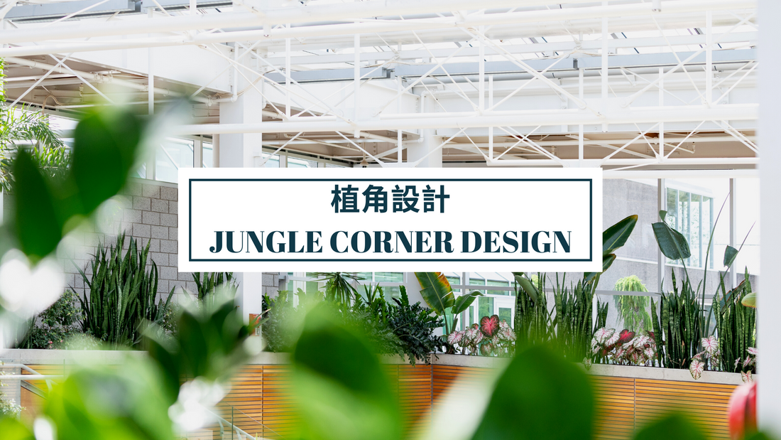 Jungle Corner Design