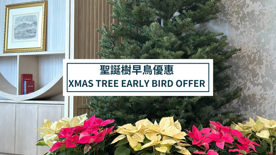 Online Plant Store | Landscape design | Jungle Corner 植角