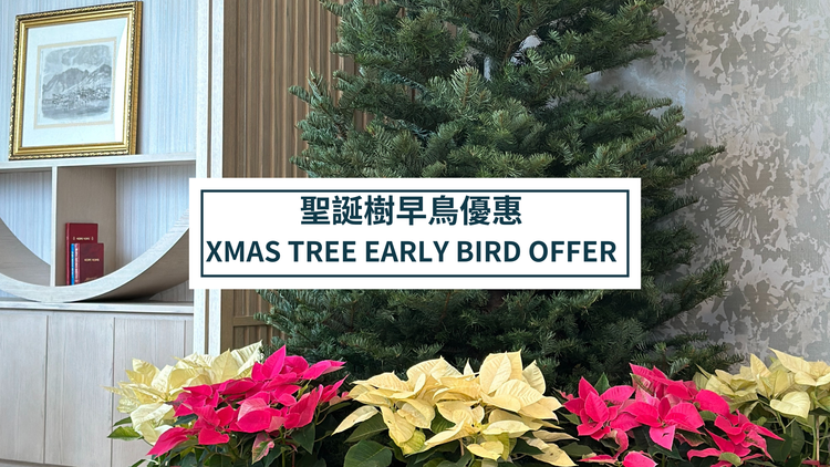 Online Plant Store | Landscape design | Jungle Corner 植角